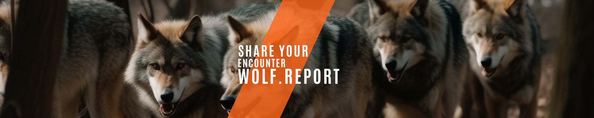 Wolf.Report - Online Wolf Activity Tracker